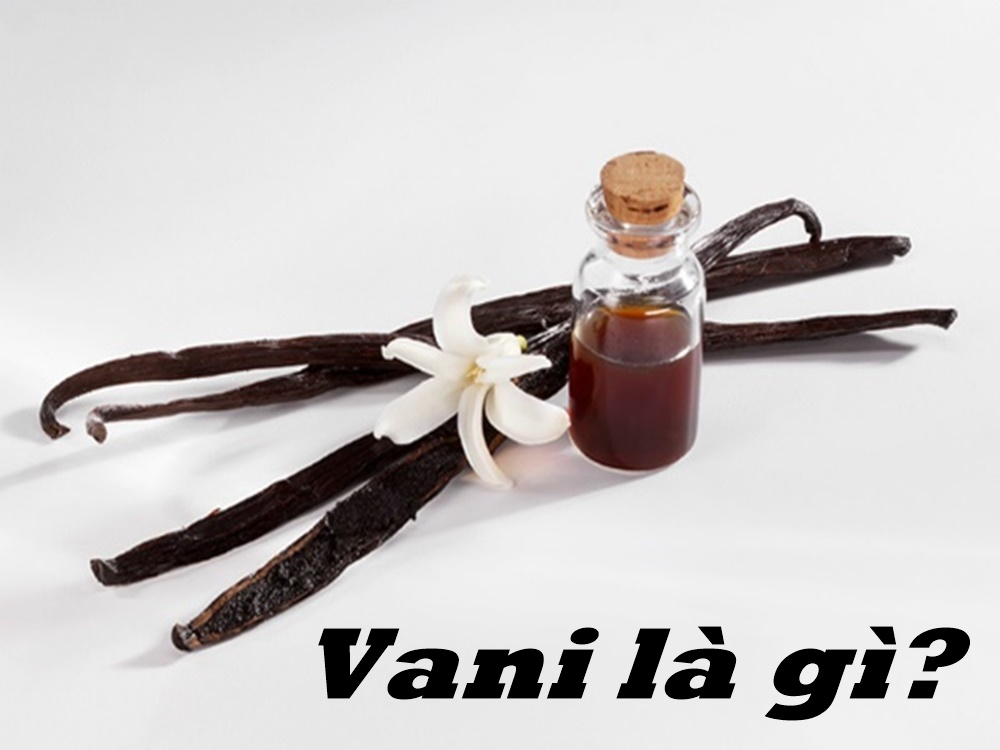 Vani là gì? Những điều cần nắm rõ về vani không phải ai cũng biết