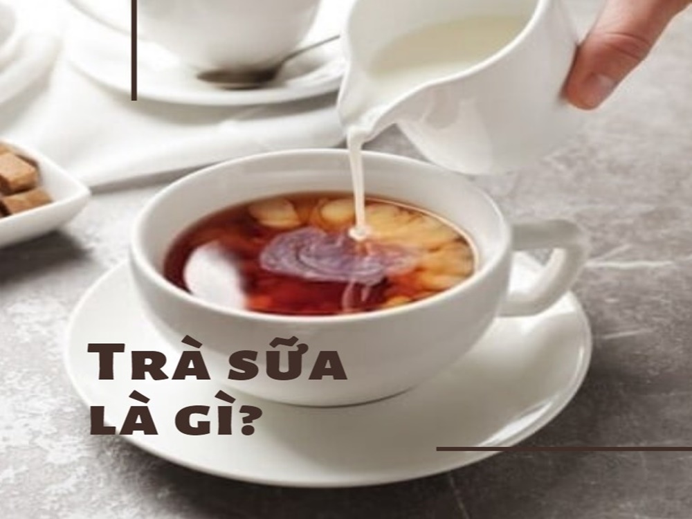 Trà sữa là gì? Khám phá những điều bạn không biết về trà sữa