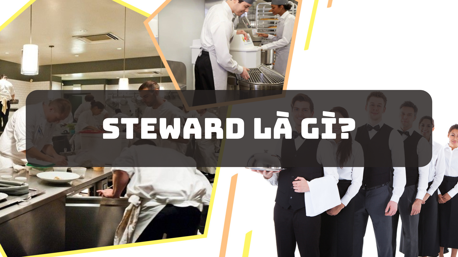 Tìm hiểu stewardship là gì? Tại sao stewardship quan trọng?